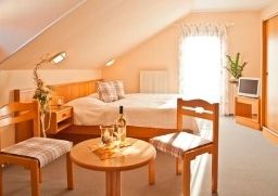 Weingut Ellernhof Landhotel - Alzey