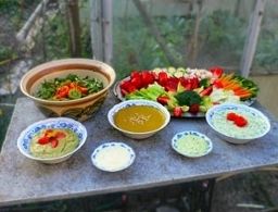 Sonnenhof Im Paradiesgrund Pension - Zwickau