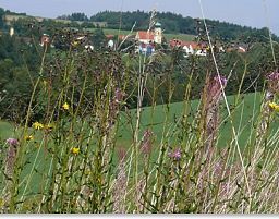 Am Sonnenhang Landgasthof - Weiden in der Oberpfalz