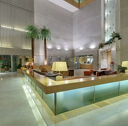 Ahmedabad Pride Plaza Hotel - Ahmedabad
