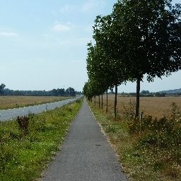 Kyffhäuser Goldene Aue - Sangerhausen