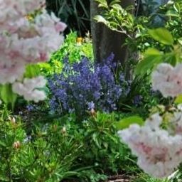 Leura Gardens Resort - New South Wales