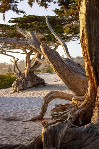 Home2 Suites By Hilton Marina - Monterrey, CA