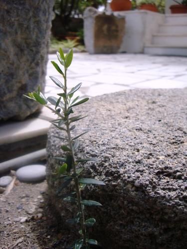 Artemis Studios - Crete