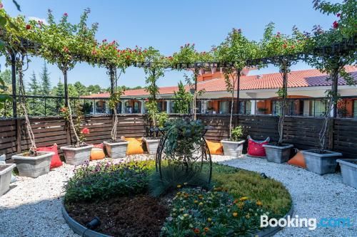 Hrizantema Hotel - Bułgaria