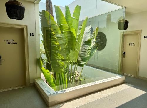 Comfy Studios Hotel - Benalmádena