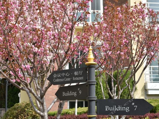 Qingdao Oceanside Hotel & Resort - Qingdao