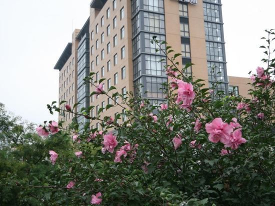 Four Seasons Rayli Hotel - Ningbo