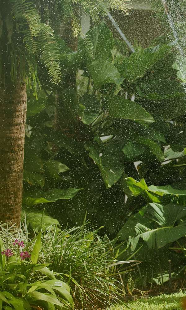 Shangri La Cairns - Cairns