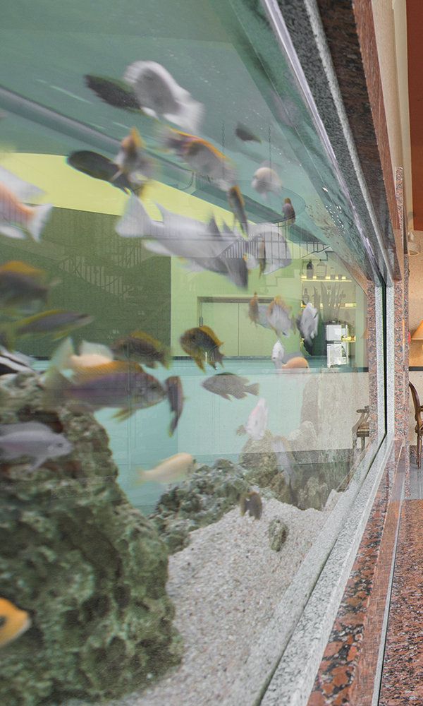 Mrówka Centrum Konferencyjno - Apartamentowe - Varsovie