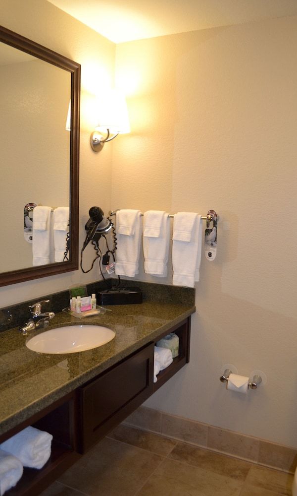 Holiday Inn Eau Claire South I-94 - 歐克萊爾
