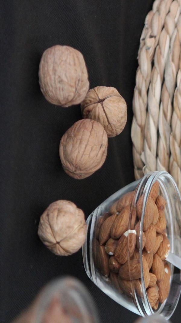 President - Porto Cesareo