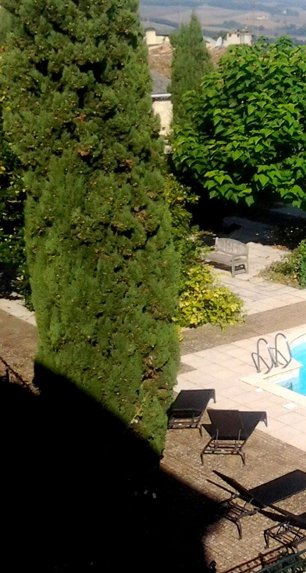 De Bastard Logis - Lectoure