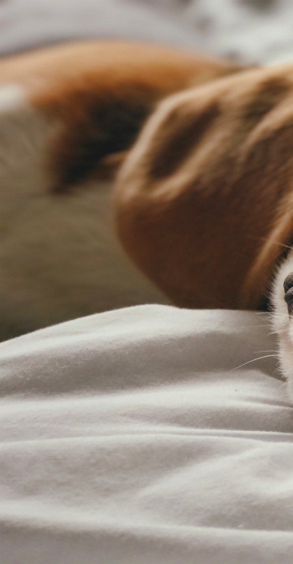 Staybridge Suites Winter Haven - Auburndale - Lake Wales, FL