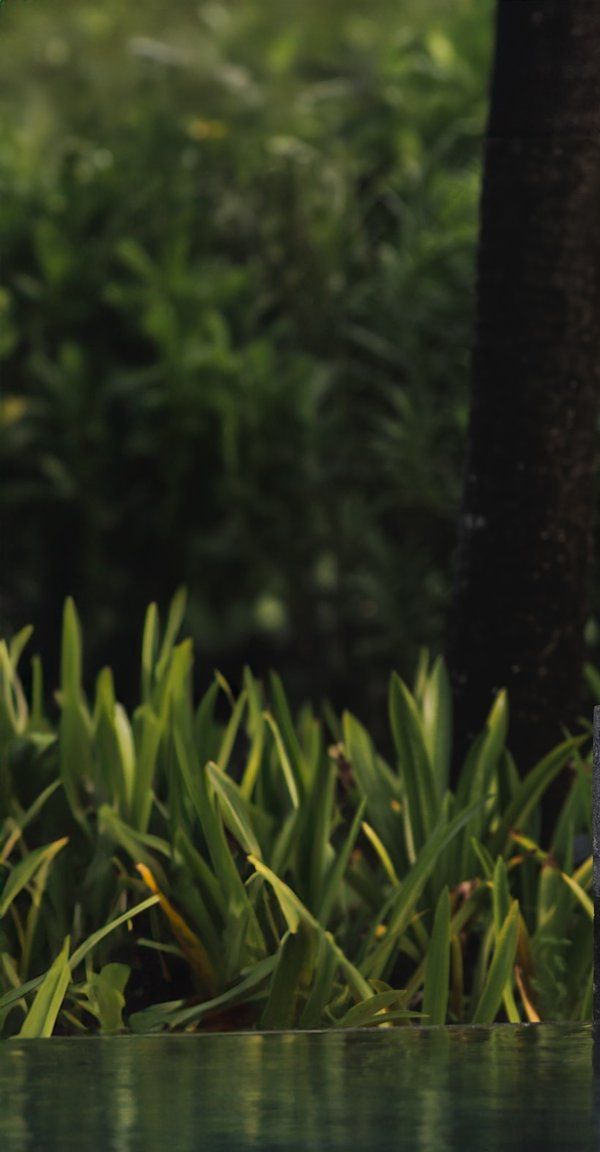 Regent Bali Canggu - Canggu