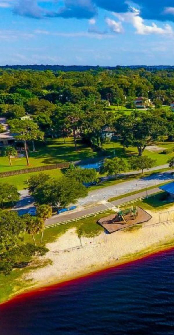 Staybridge Suites Clermont Southeast By Ihg - Clermont, FL