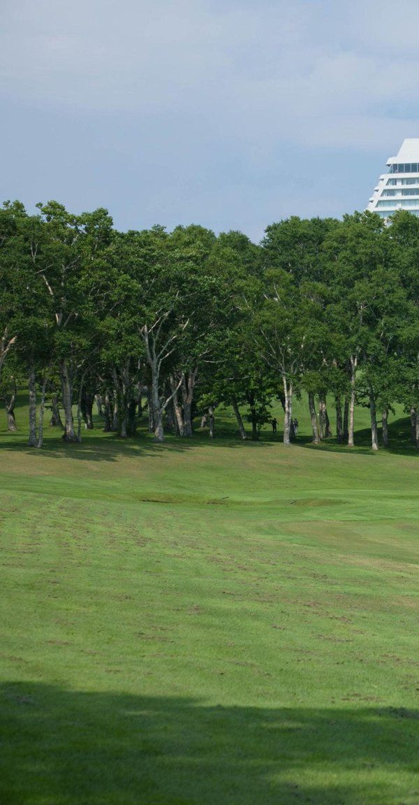 Vignette Collection The Windsor Hotel Toya By Ihg - Date