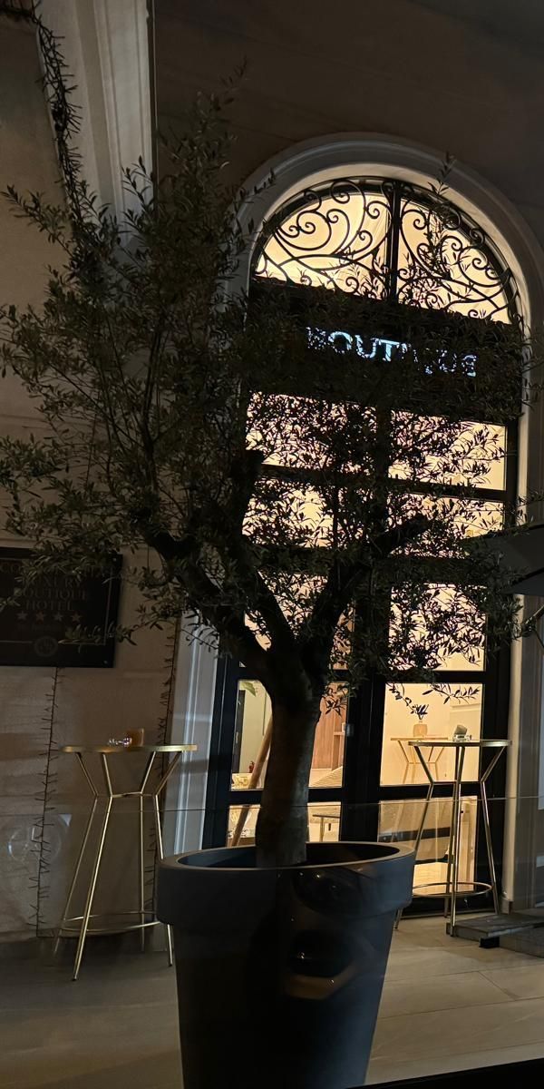 Cosmopolita Boutique Hotel - Timișoara