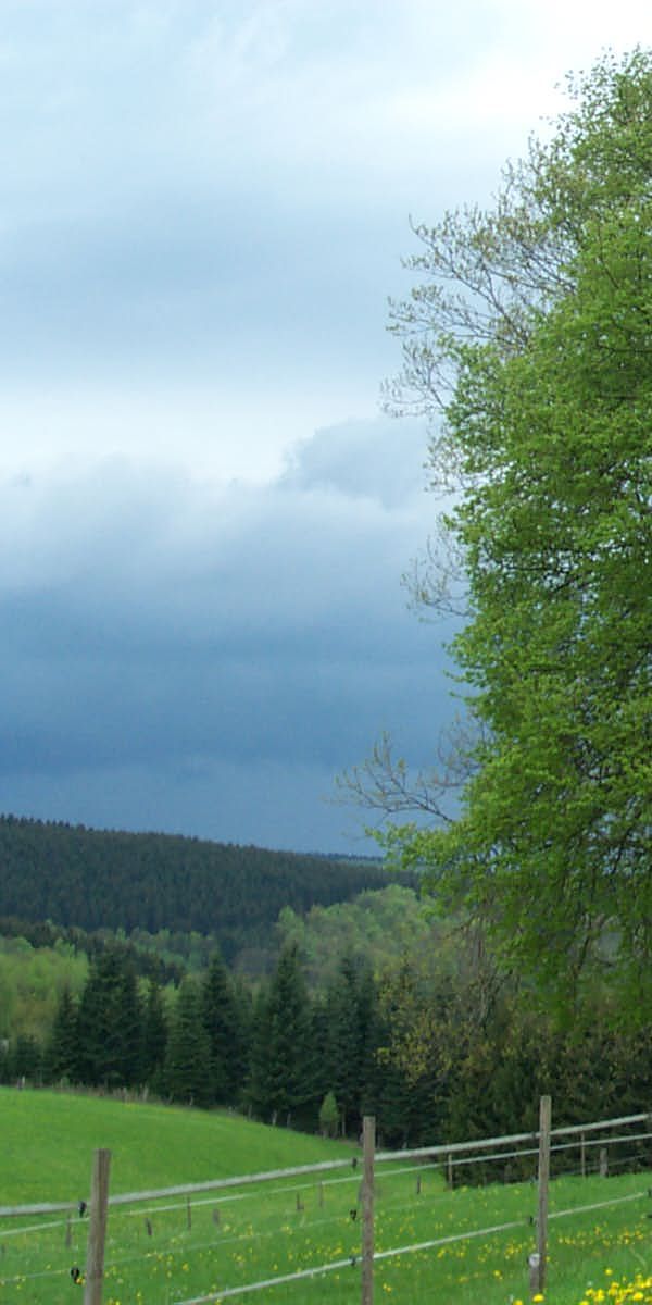 Gut Ahe Landhotel Café - Kreuztal