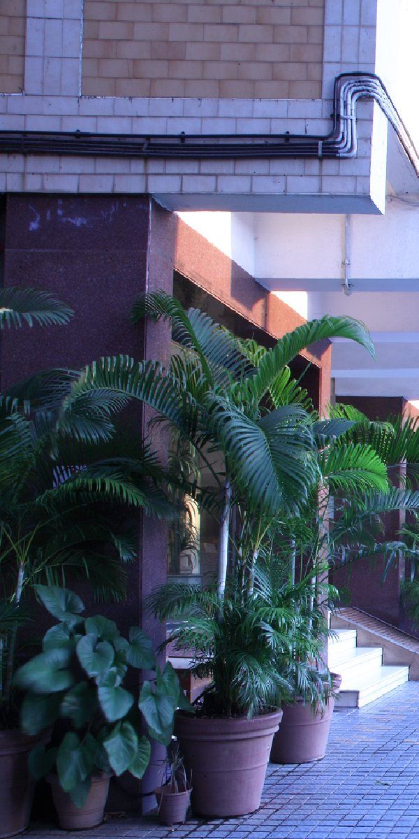 Regency Hotel Mumbai - ムンバイ