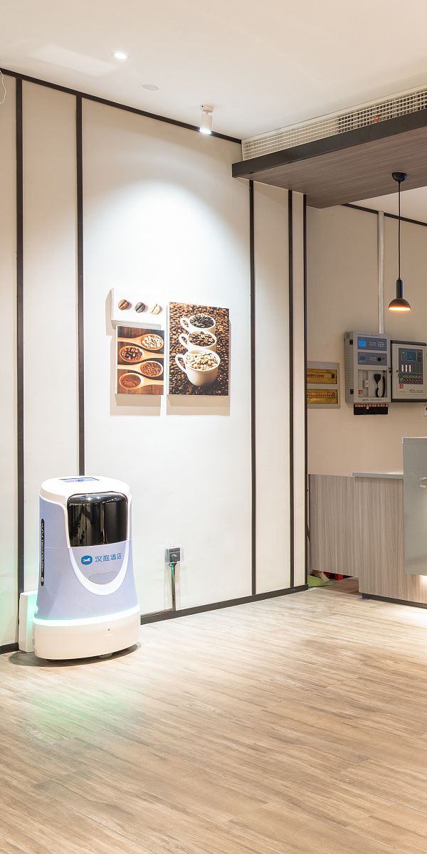 Hanting Wuhan Castle Peak Zhongyuan Plaza Hotel - Wuhan