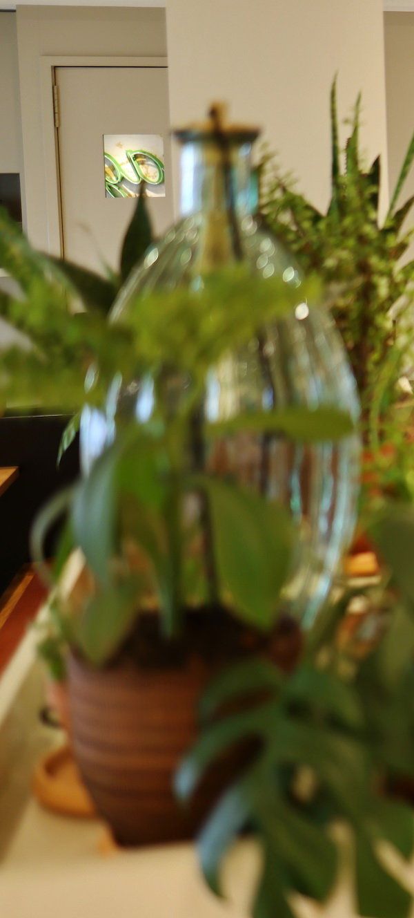 Le Vert Bocage - Franqueville-Saint-Pierre