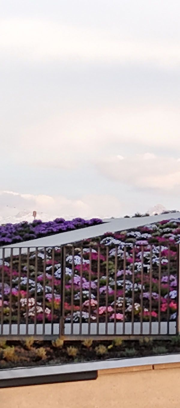 Hotel Im Zentrum Für Visionen - Hallein