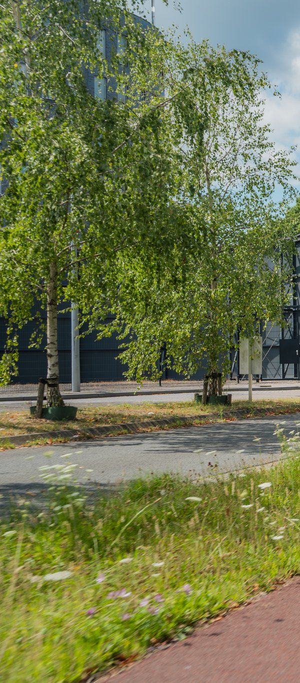 Holiday Inn Eindhoven Airport By Ihg - Eindhoven