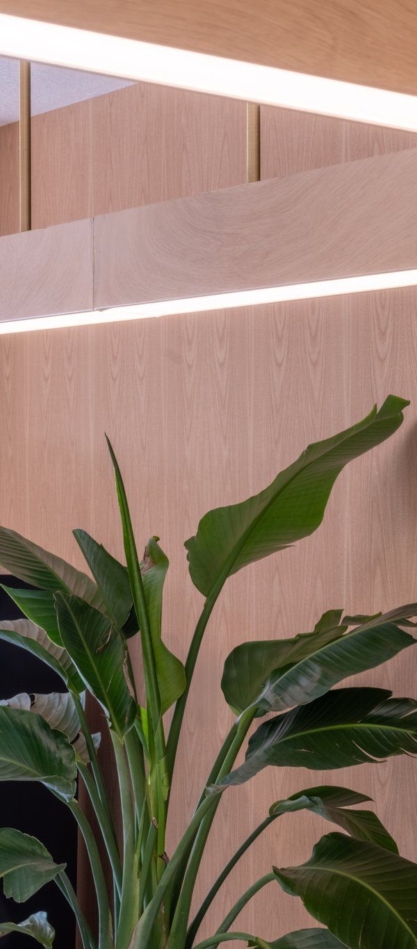 Even Hotel Orlando International Airport By Ihg - Orlando, FL