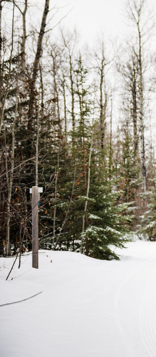 Staybridge Suites Dawson Creek - Dawson Creek