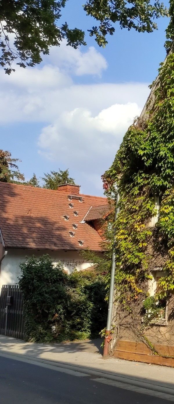 Weinhotel Wolf - Mainz