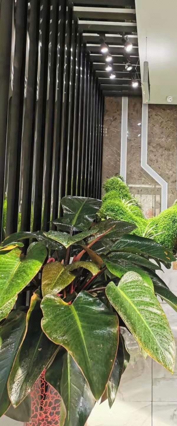 Shengnuo Hotel (Wanda Plaza Branch) - Weinan