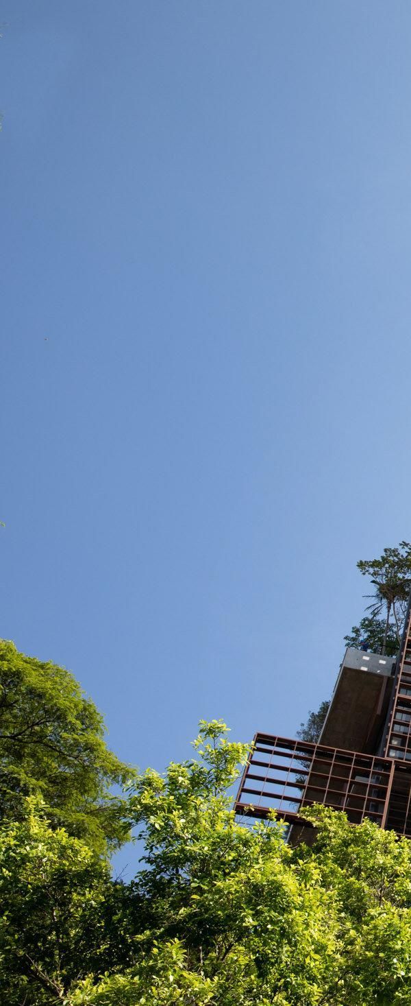 Rosewood São Paulo - São Paulo