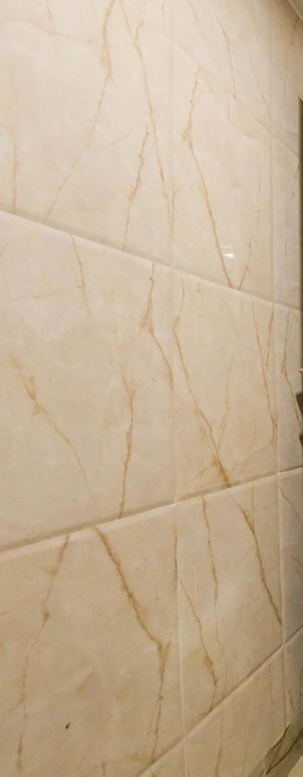 Hotel Maharana Inn - Mumbai