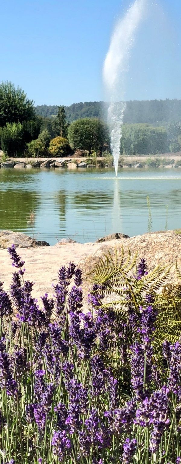 Fichtelgebirgshof - Bad Berneck