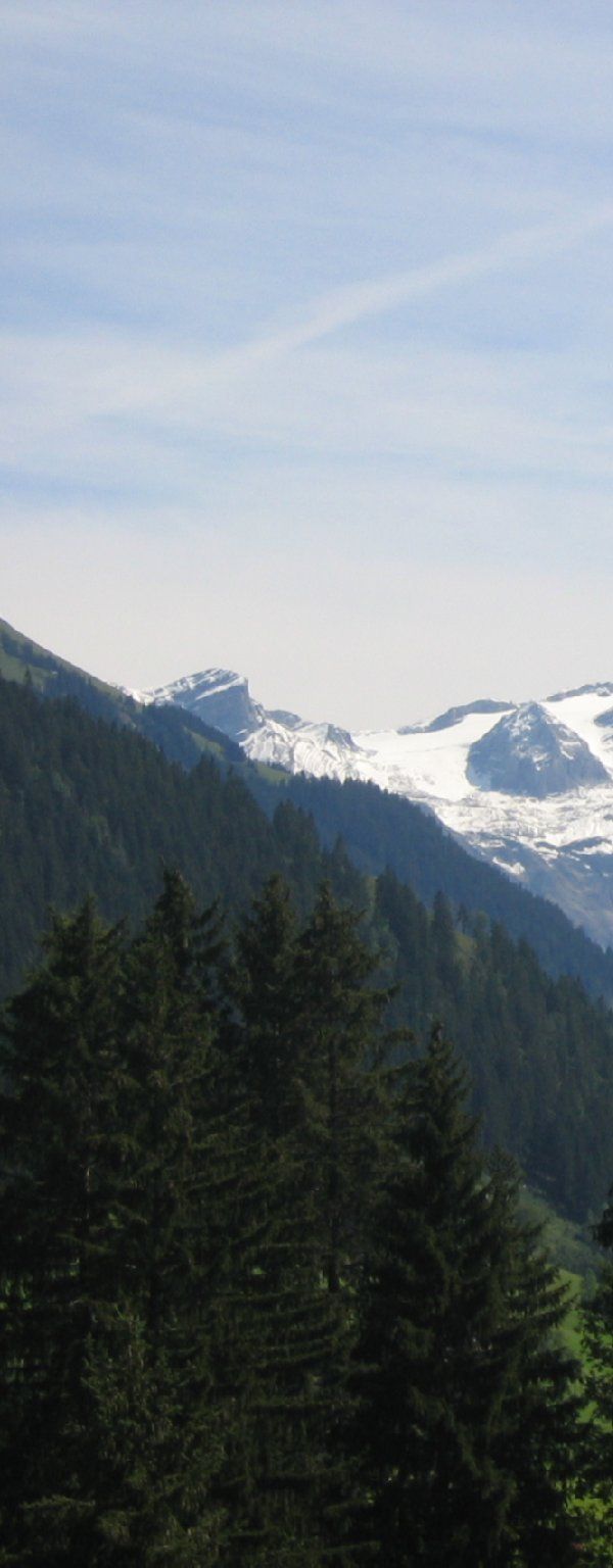 Boutique Hotel Alpenrose - Saanen