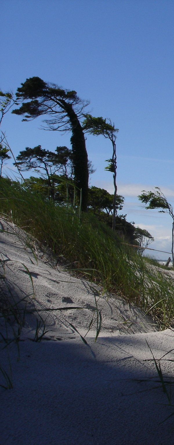 Hotel Haus Linden - Prerow