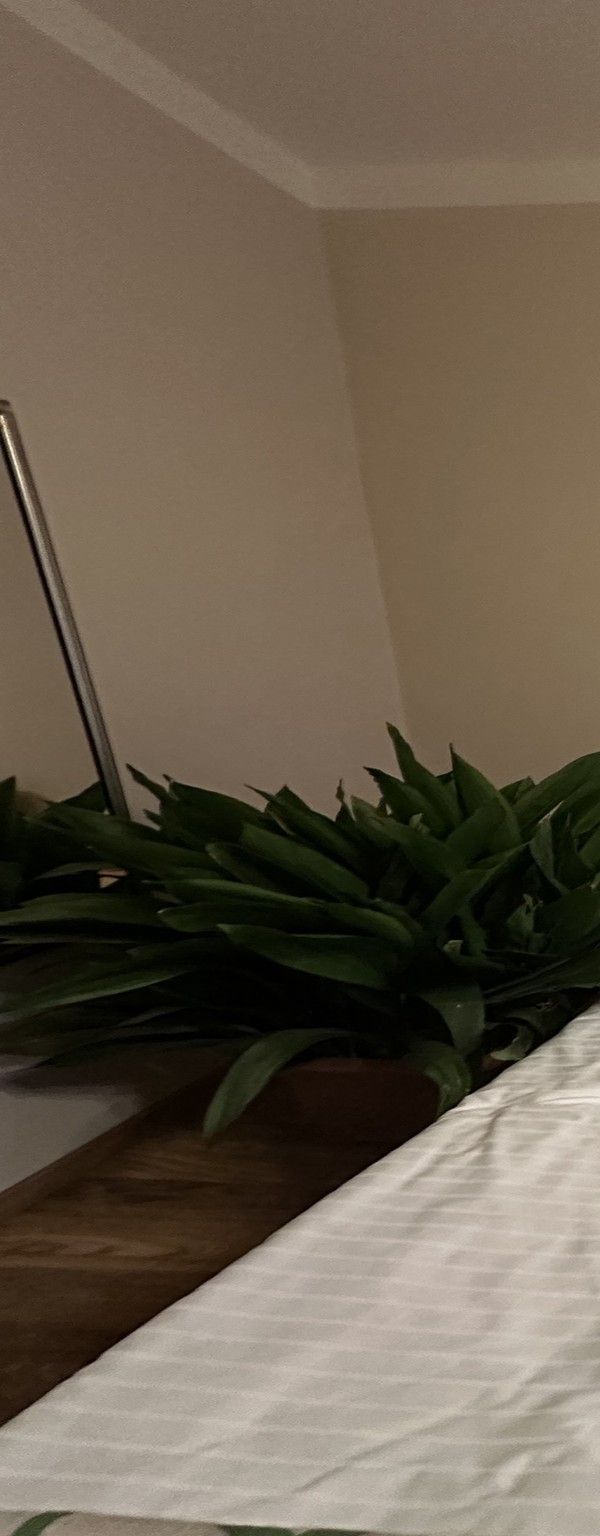 Penzion 4 Dvory - České Budějovice