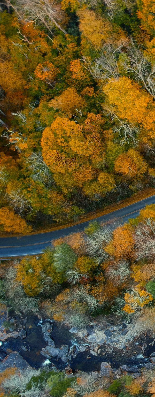 Candlewood Suites Asheville Downtown By Ihg - Asheville, NC