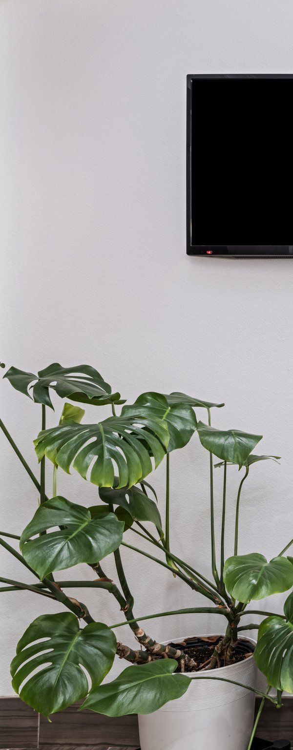 Garner Hotel Longview South By Ihg - Longview, TX