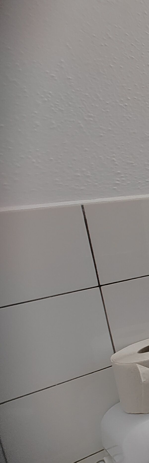 Zak Hotel  & Backpackers - Schaffhausen