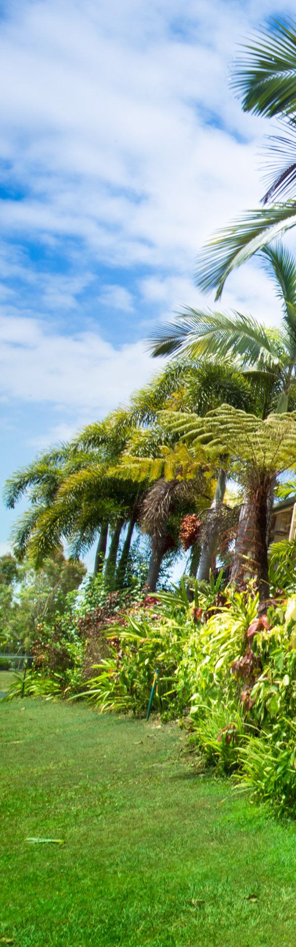 Mission Reef Resort - Queensland