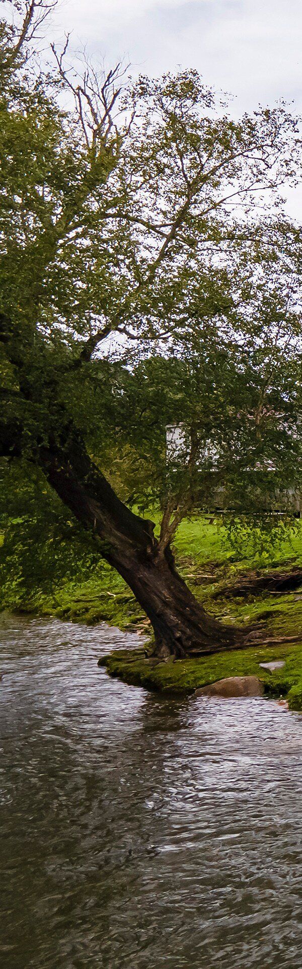 Lloyd's On The River Country Inn By Oyo - Cherokee, NC