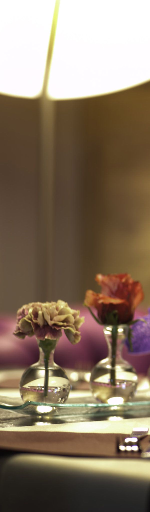 Domaine De Cice-blossac - Resort Spa & Golf Golf Resort And Spa - Ille-et-Vilaine