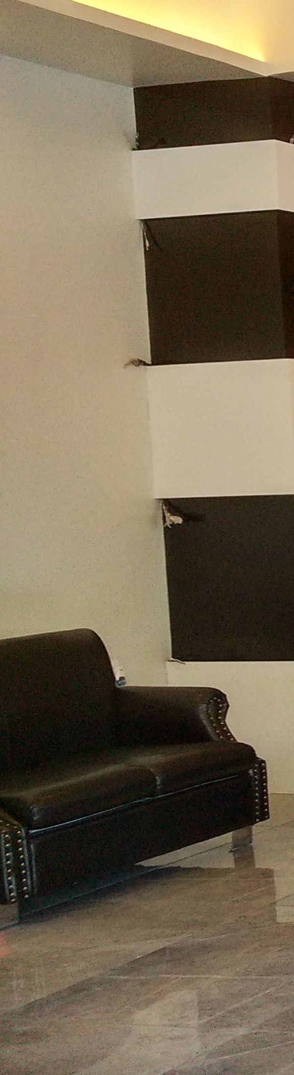 Regenta Inn Vadodara - Vadodara