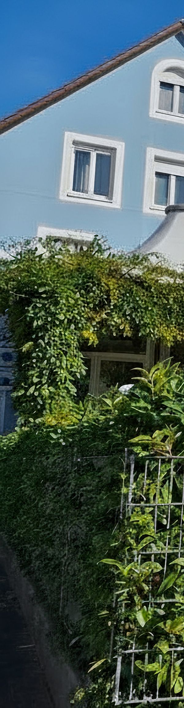 Eisberg Hotel Schwanen - Lahr/Schwarzwald