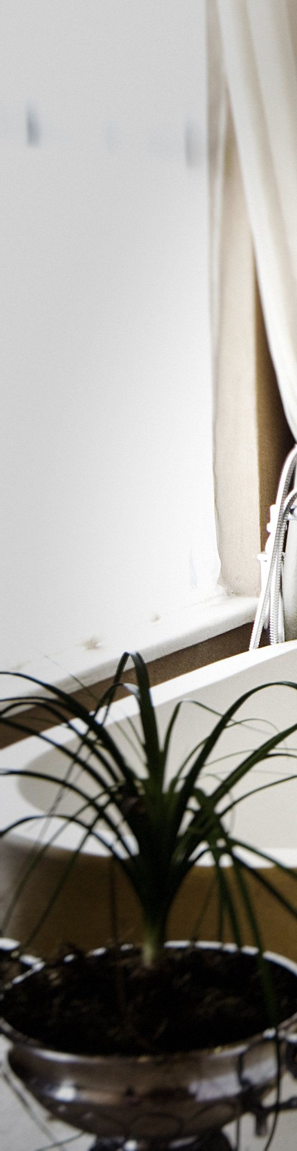 Royal Elephant Hotel & Conference Center - Centurion