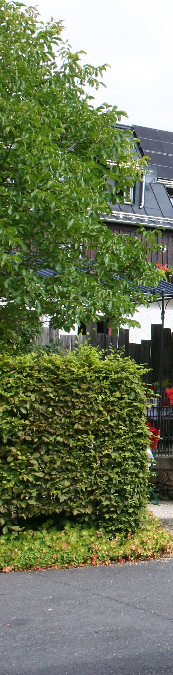 Bräustüberl Schönbrunn - Wunsiedel