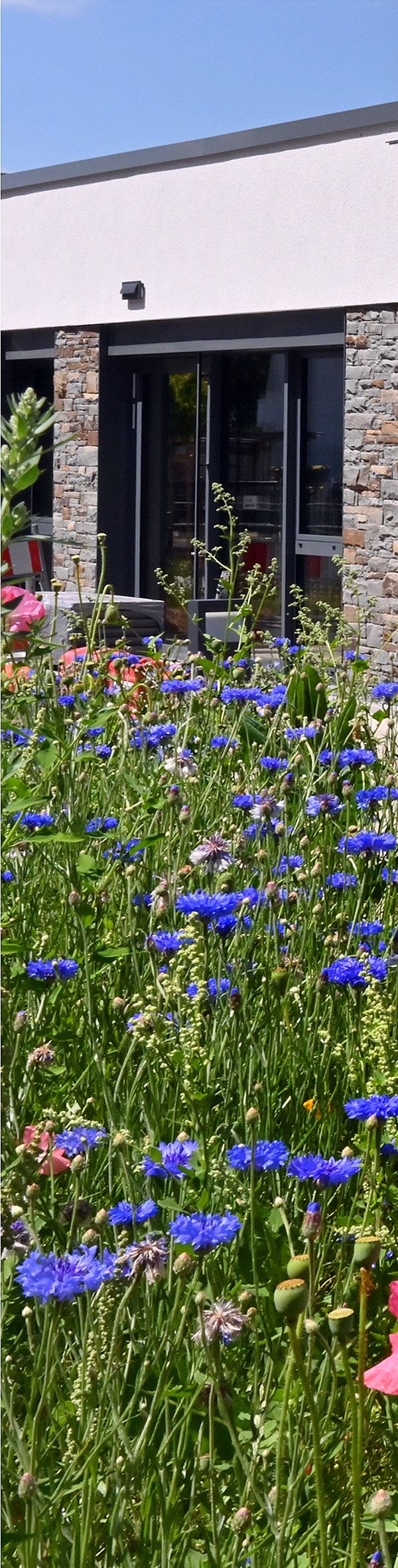 Bethel Hotel Zum Weinberg - Bad Neuenahr-Ahrweiler