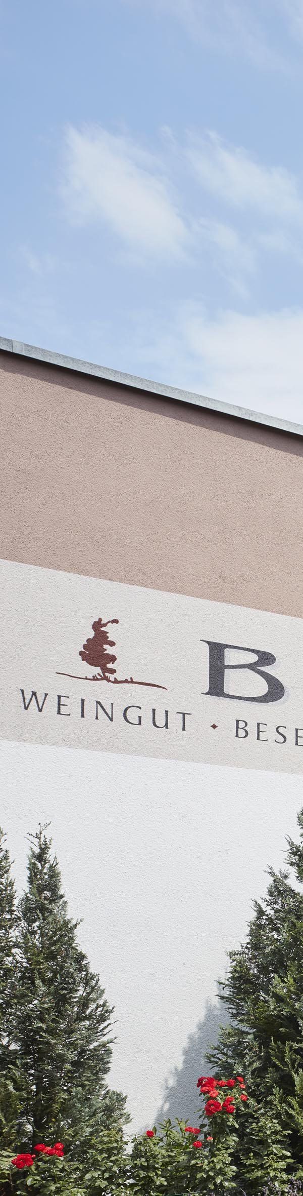 Gästehaus Bauer - Heilbronn